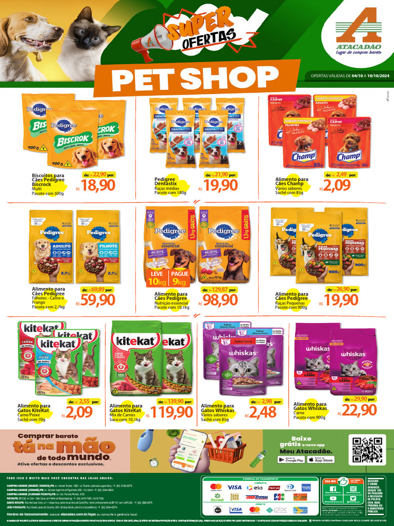 Flyer | PDF