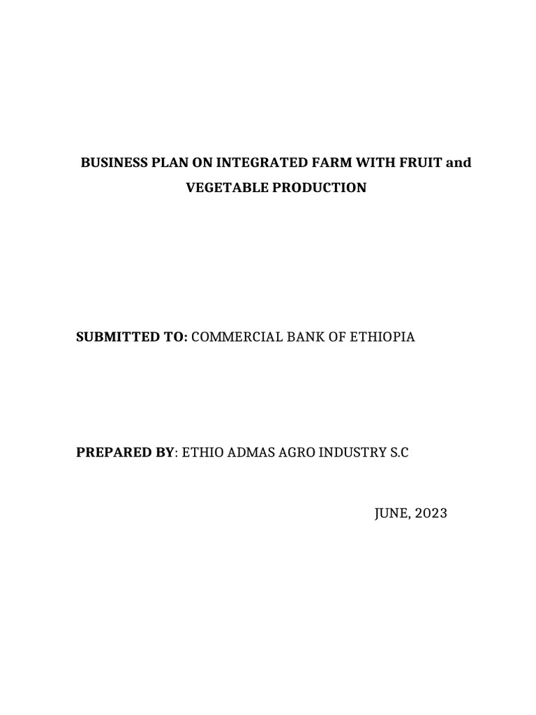 Sample Business Plan | PDF