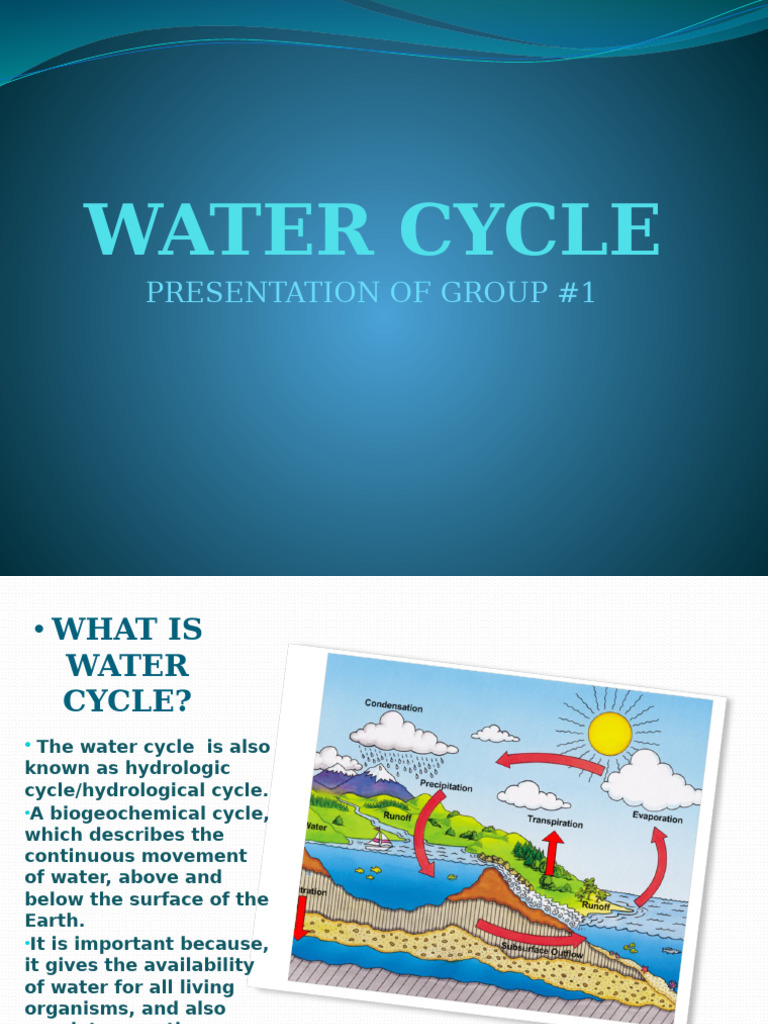 Water Cycle | PDF