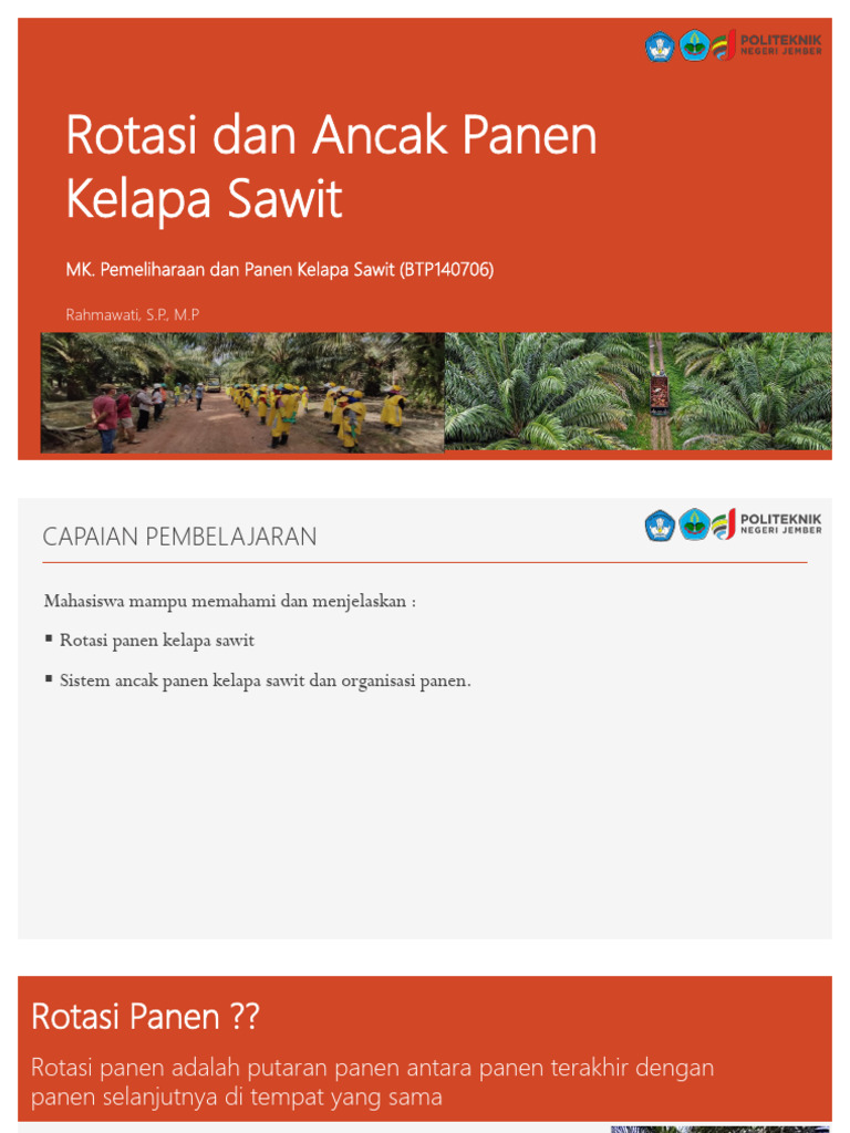 13 - Rotasi Dan Ancak Panen | PDF