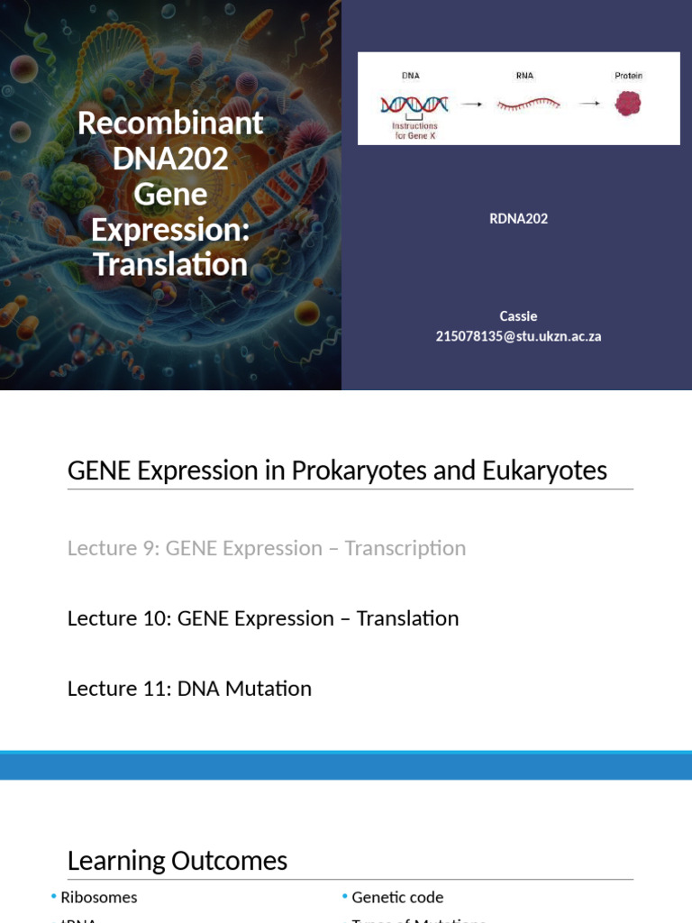 Lecture 10 11 Gene Expression in Prokaryotes and Eukaryotes | PDF ...