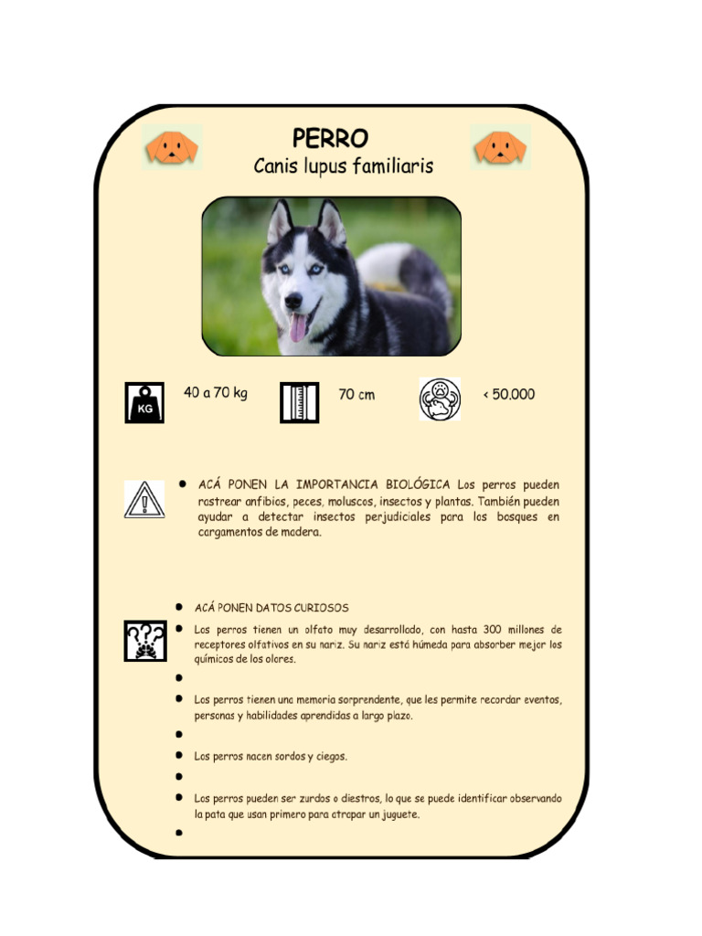 Ficha Tecnica Animal | PDF