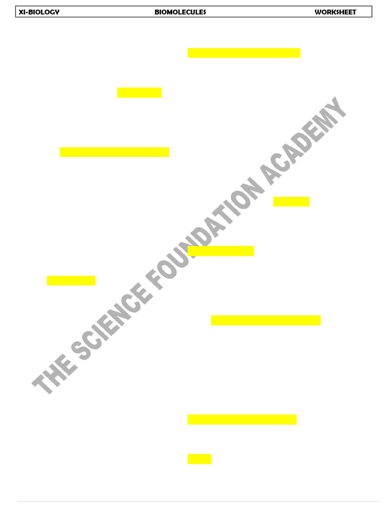 Xi-Biomolecules Worksheet Key | PDF