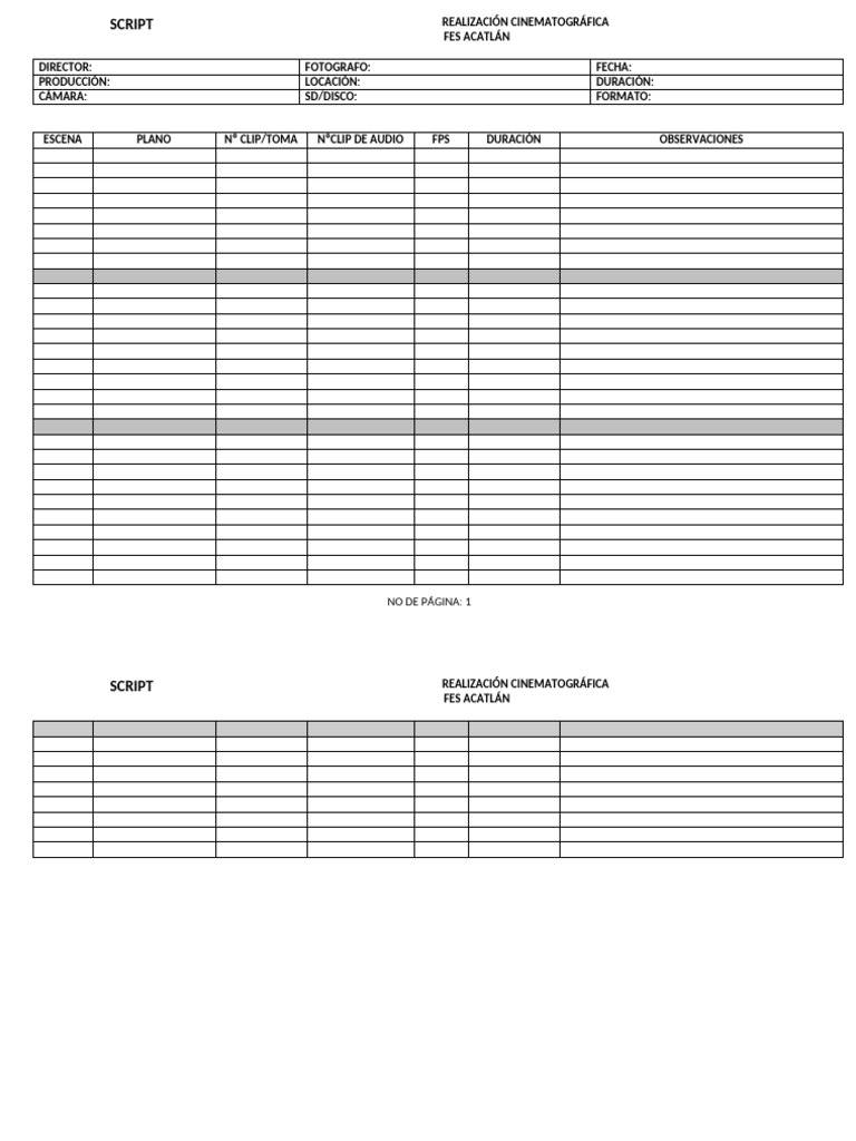 Formato Script | PDF