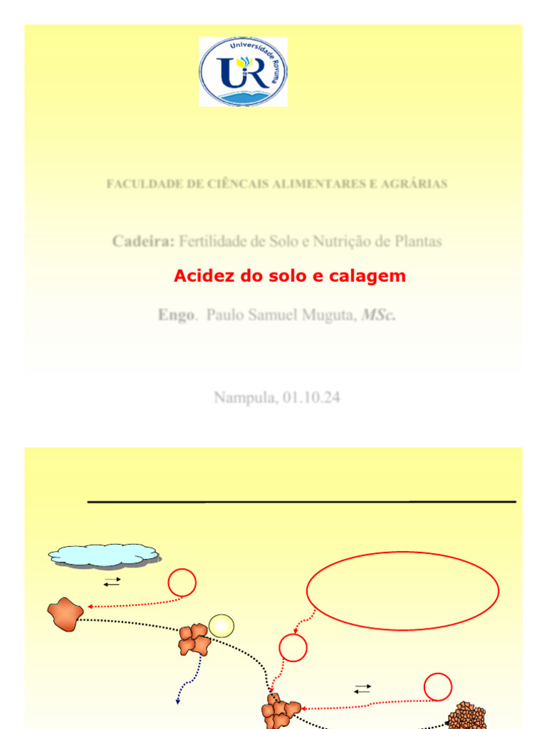 Acidez do Solo e Calagem Agrícola | PDF | Solo | Ácido