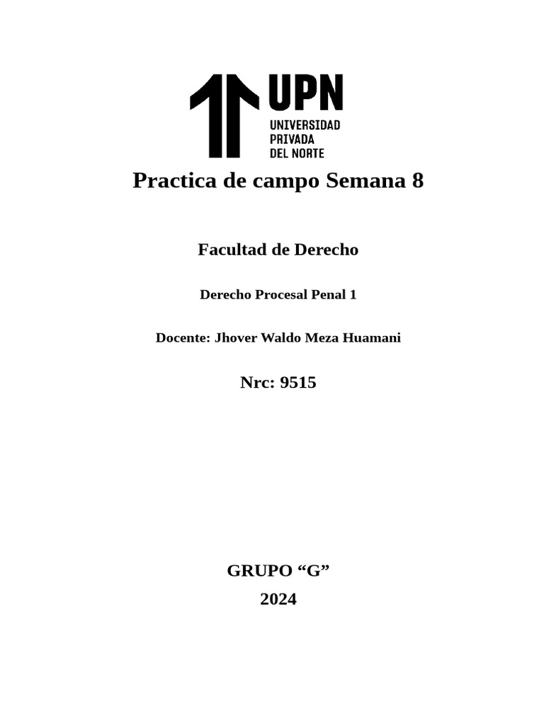 Practica de Campo 8 | PDF