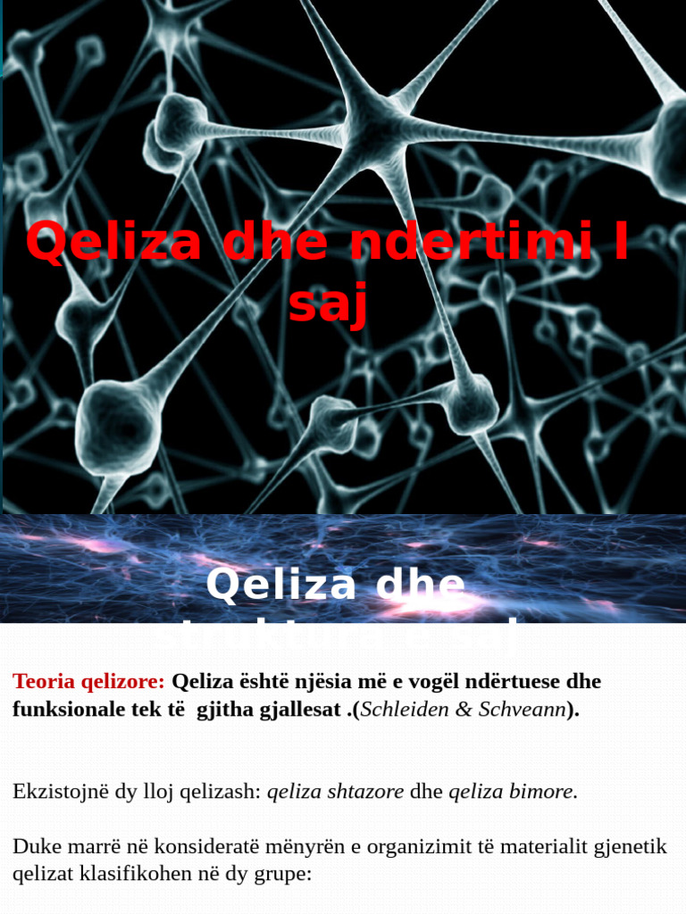 02 Qeliza Dhe Ndertimi I Saj | PDF