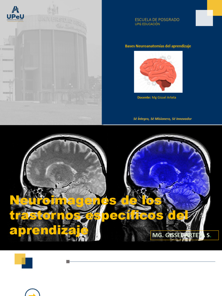 Neuroimagen de Las Dificultades de Aprendizaje | PDF