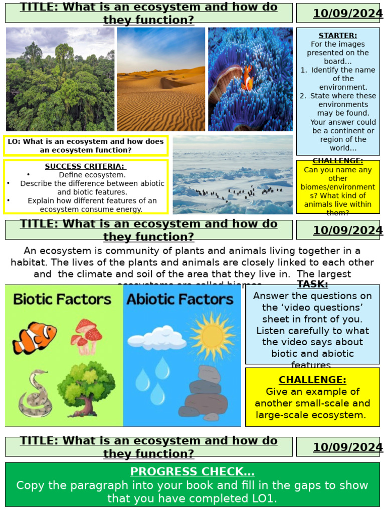 Lesson 1 - Intro To Ecosystems | PDF