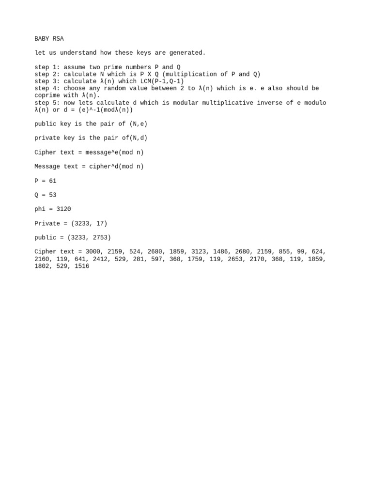 Baby Rsa | PDF