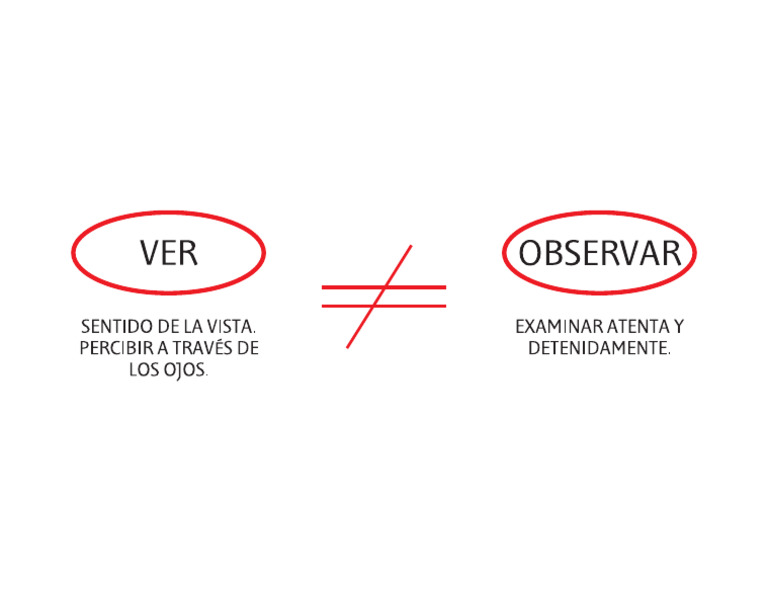 Ver y Observar | PDF