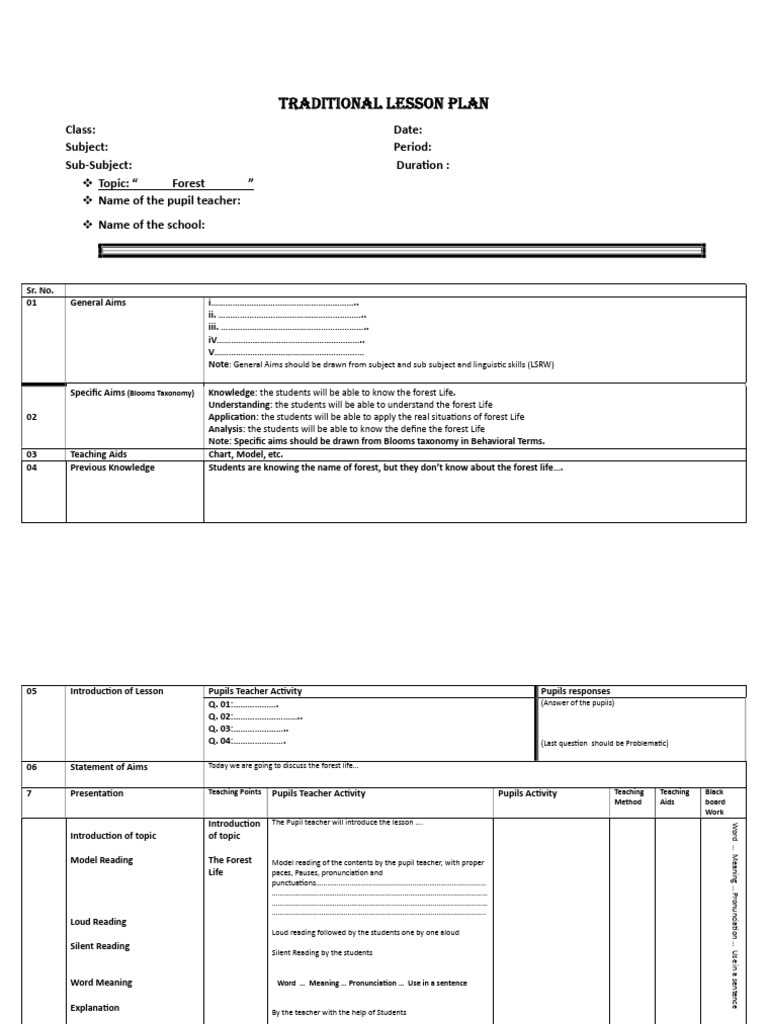 English Traditional Lesson Plan | PDF