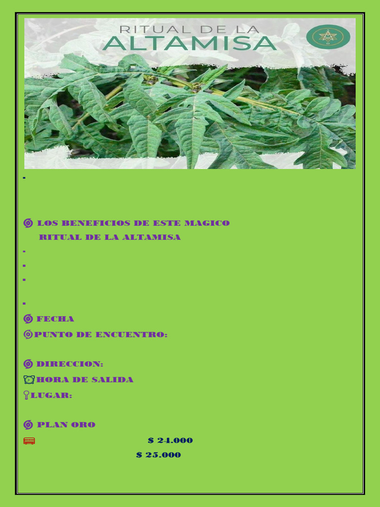 Ritual de La Altamisa 2024 | PDF