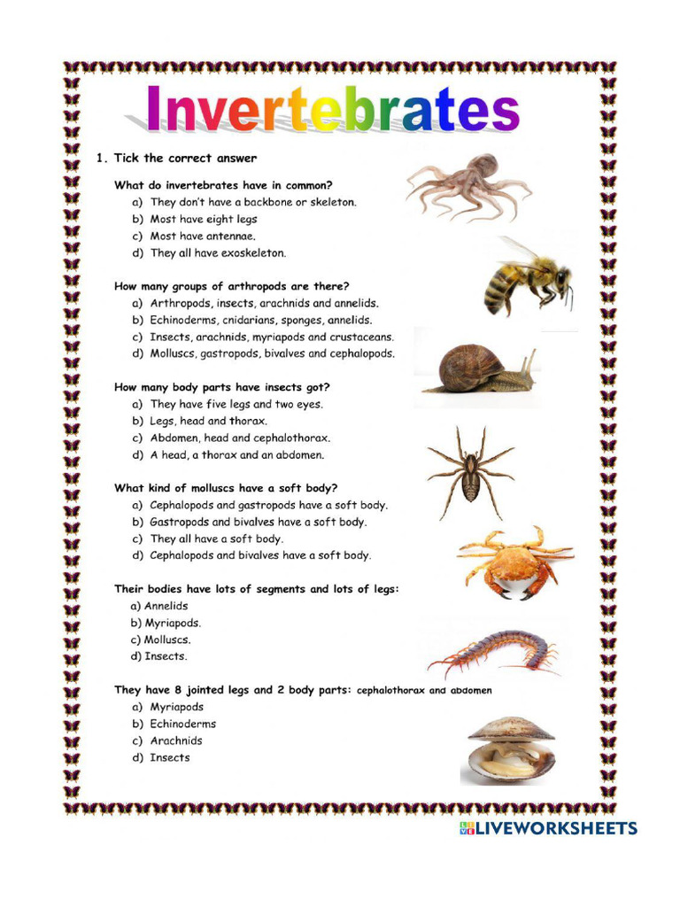 Invertebrates | PDF
