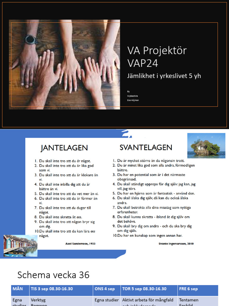 Kurslitteratur Jämlikhet I Yrkeslivet VAP 5 Yhp | PDF