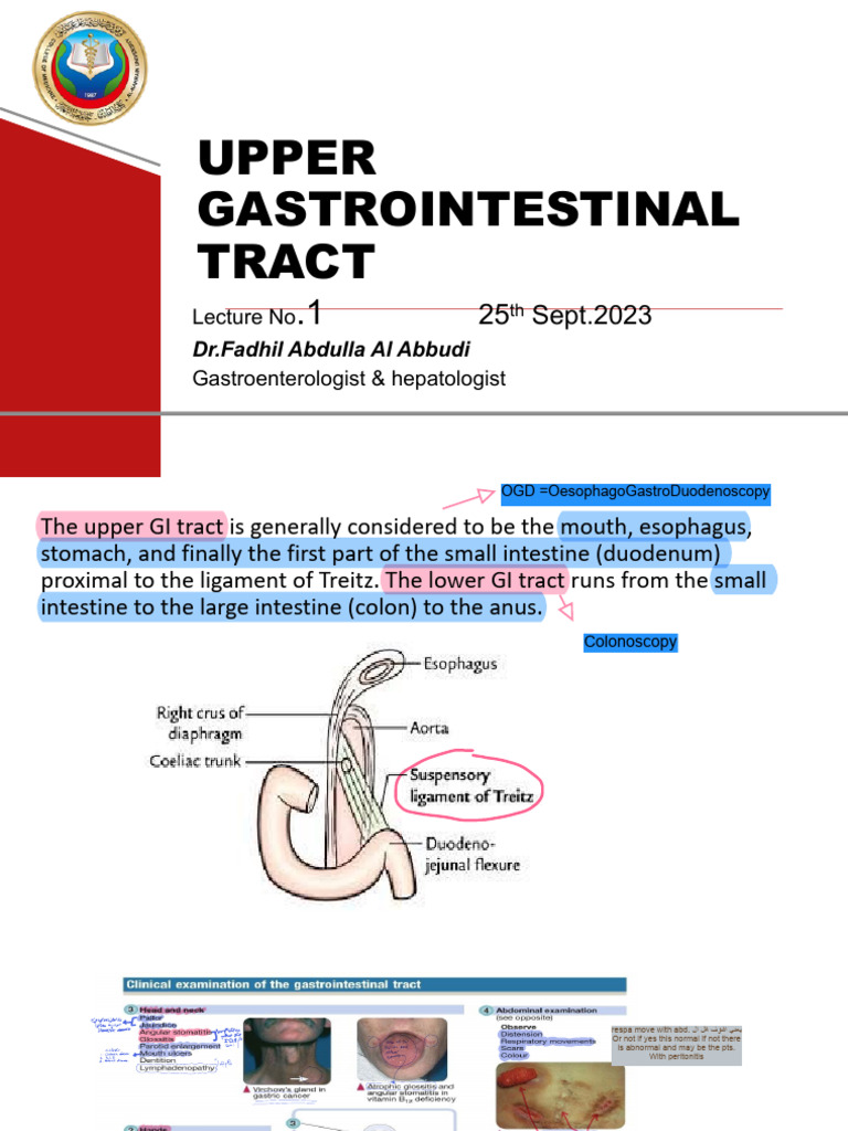 l4 - Upper Git | PDF