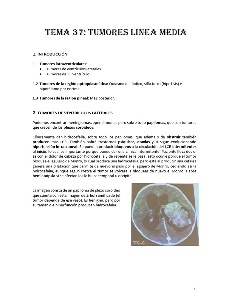 T37 Tumores Línea Media y Paraventriculares | PDF