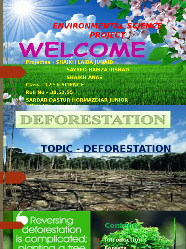 Evs Project Laiba Pdf