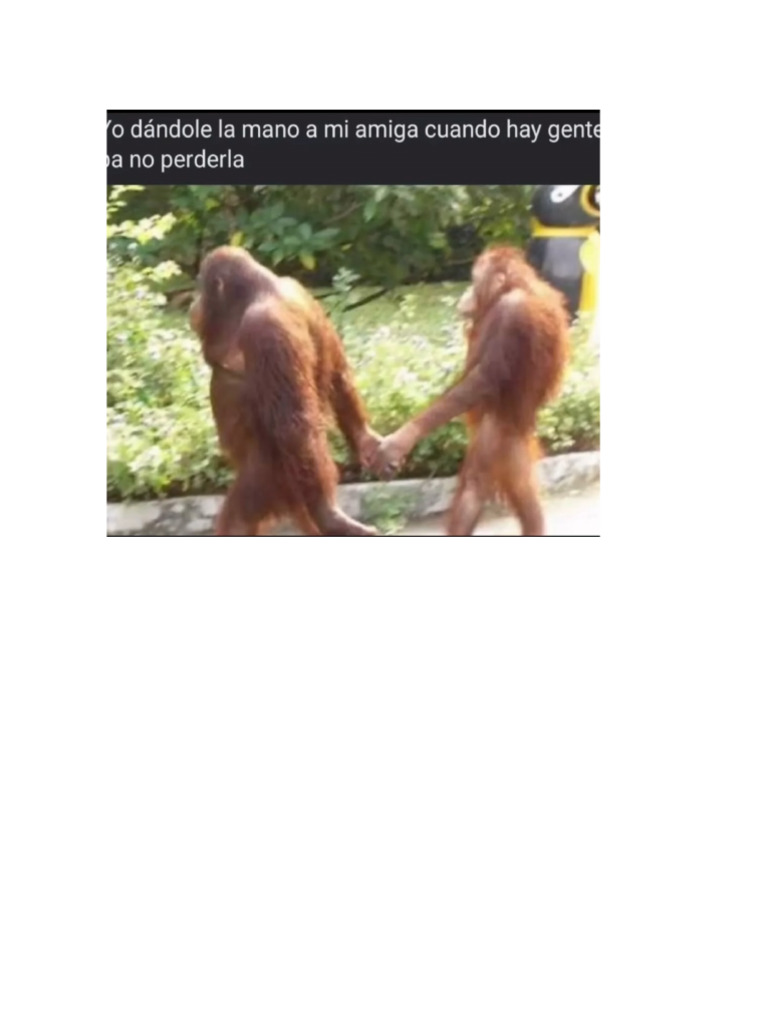 Meme Chango | PDF