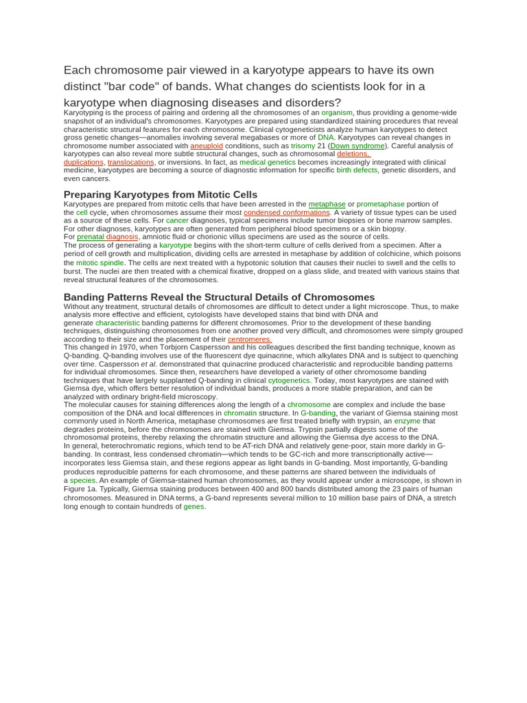 Karyotyping | PDF