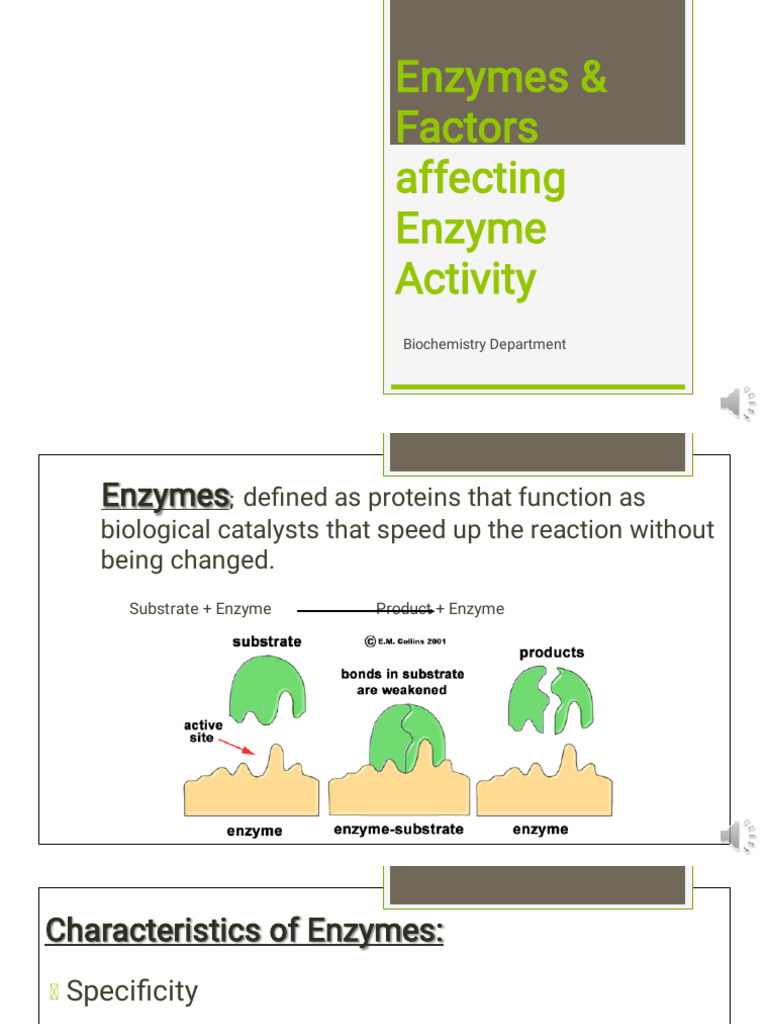 1 Enzymes and Factors Affecting Enzyme Activity | PDF