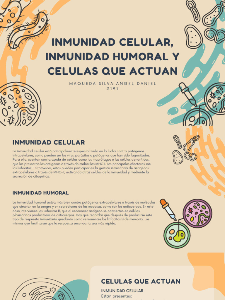 Presentacion Inmunidad | PDF