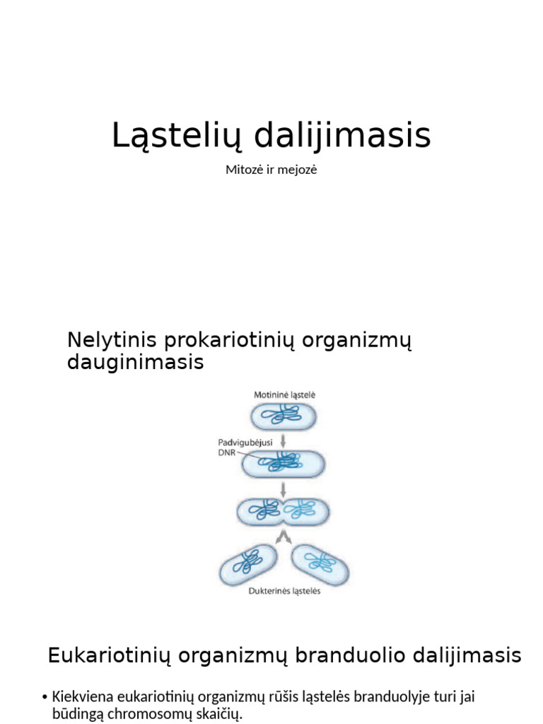 Mitoze Ir Mejoze | PDF