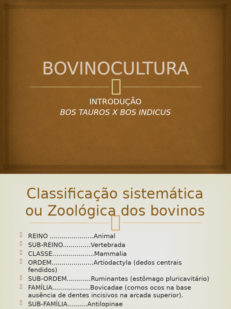 Bovinocultura Bos Taurus X Bos Indicus | PDF