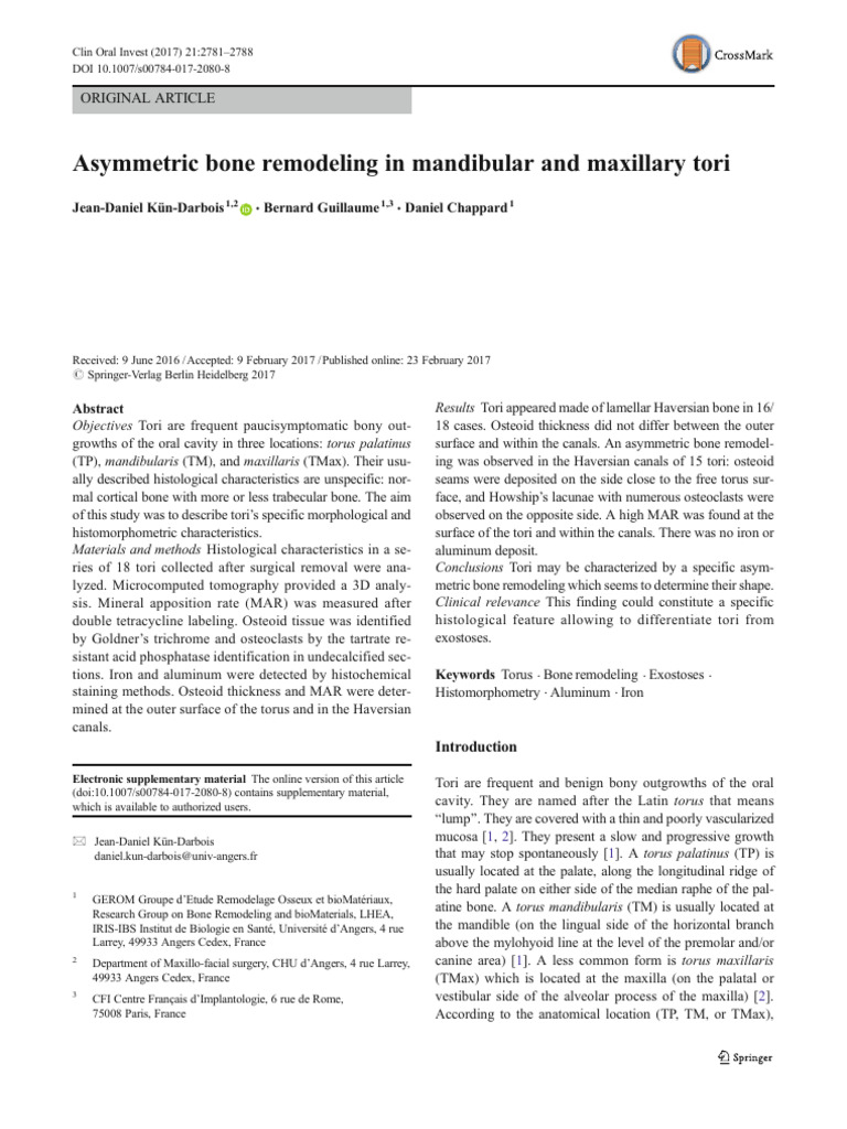 Asymmetric Bone Remodeling in | PDF