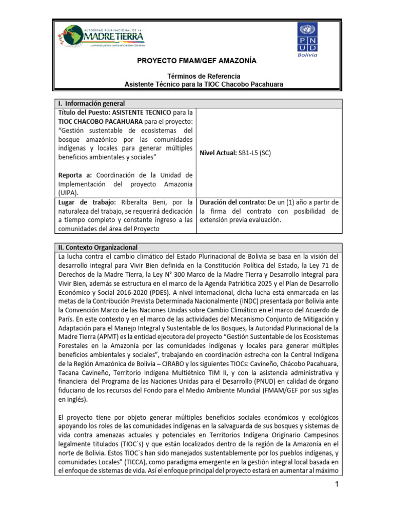 TDR Asistente Tecnico Tioc Chacobo Pacahuara | PDF