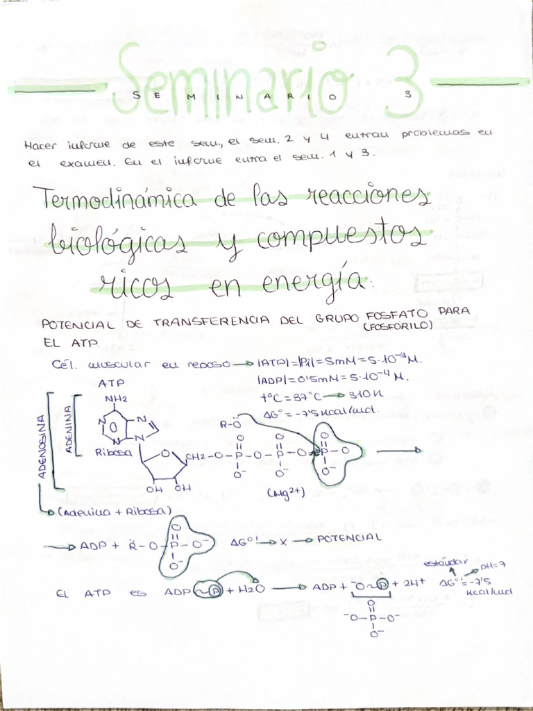Informe Sem 3 | PDF