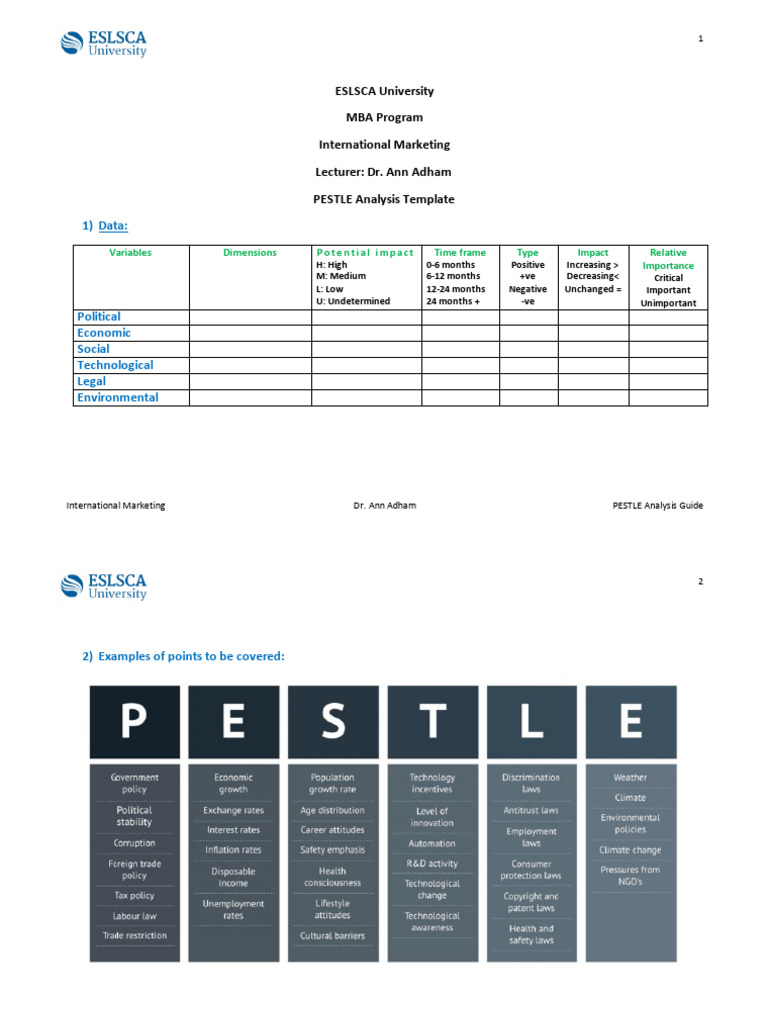 PESTLE Analysis Template Ann | PDF