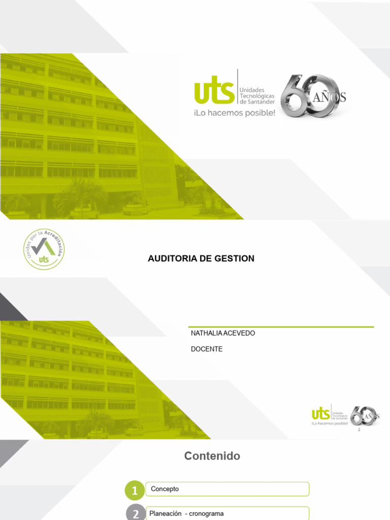 Diapositivas Auditoria Gestion 7 Uts | PDF