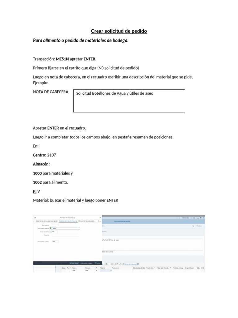 manual sap | PDF