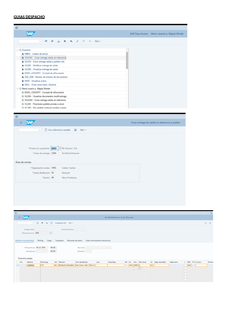 Guias Despacho Sap Torpedo | PDF
