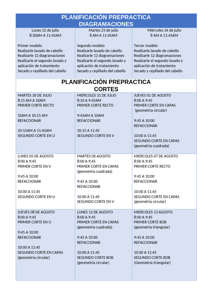 PLANIFICACIÓN PREPRACTICA | PDF