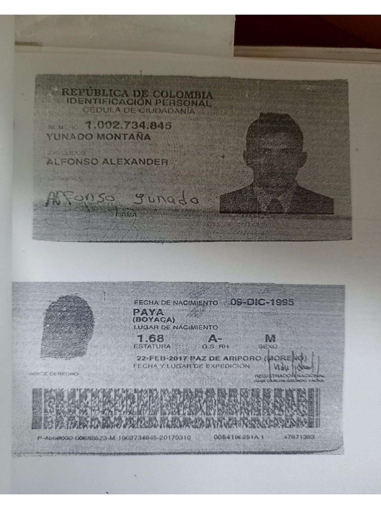 Alfonso Alexander Yunado Montaña | PDF