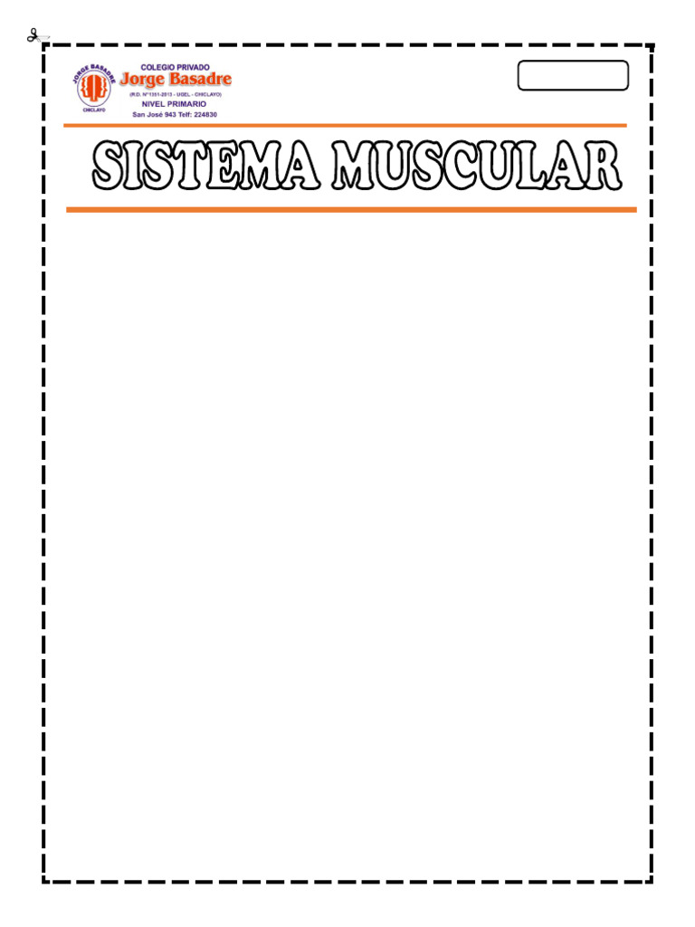 Sistema Muscular 5 Grado | PDF