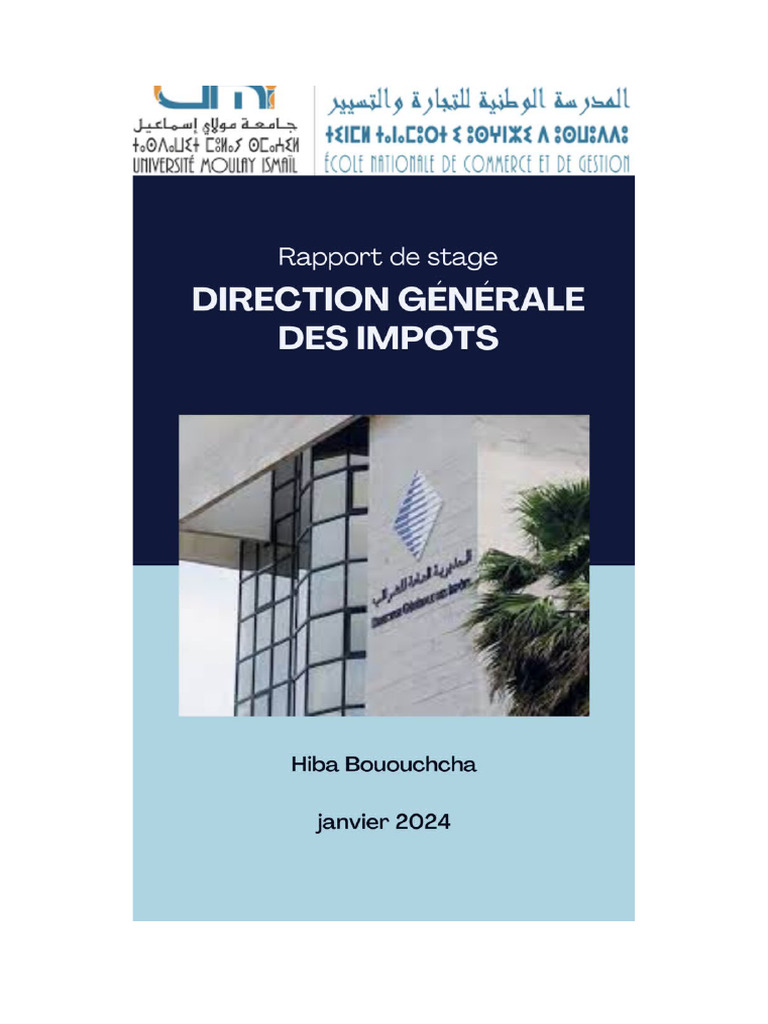 Rapport de stage DGI | PDF