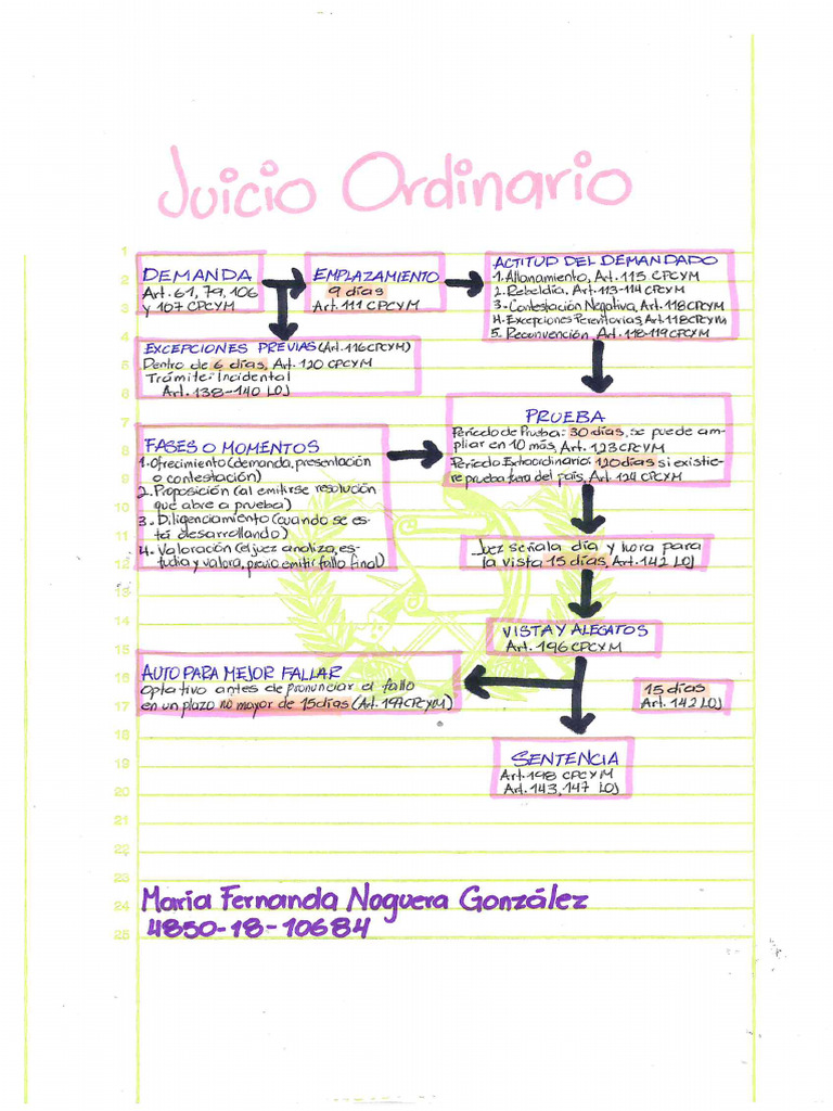 Esquema Juicio Ordinario | PDF