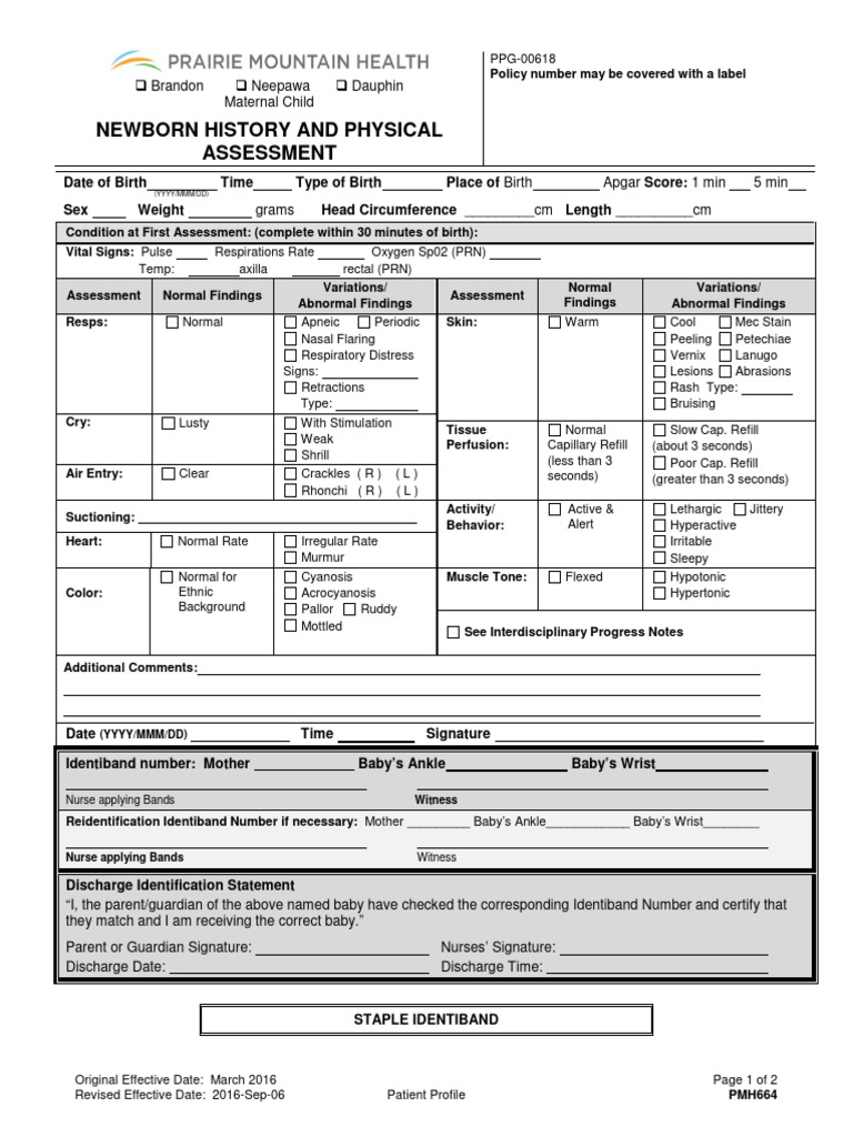 Newborn History and Physical Assessment (3) (1) | PDF