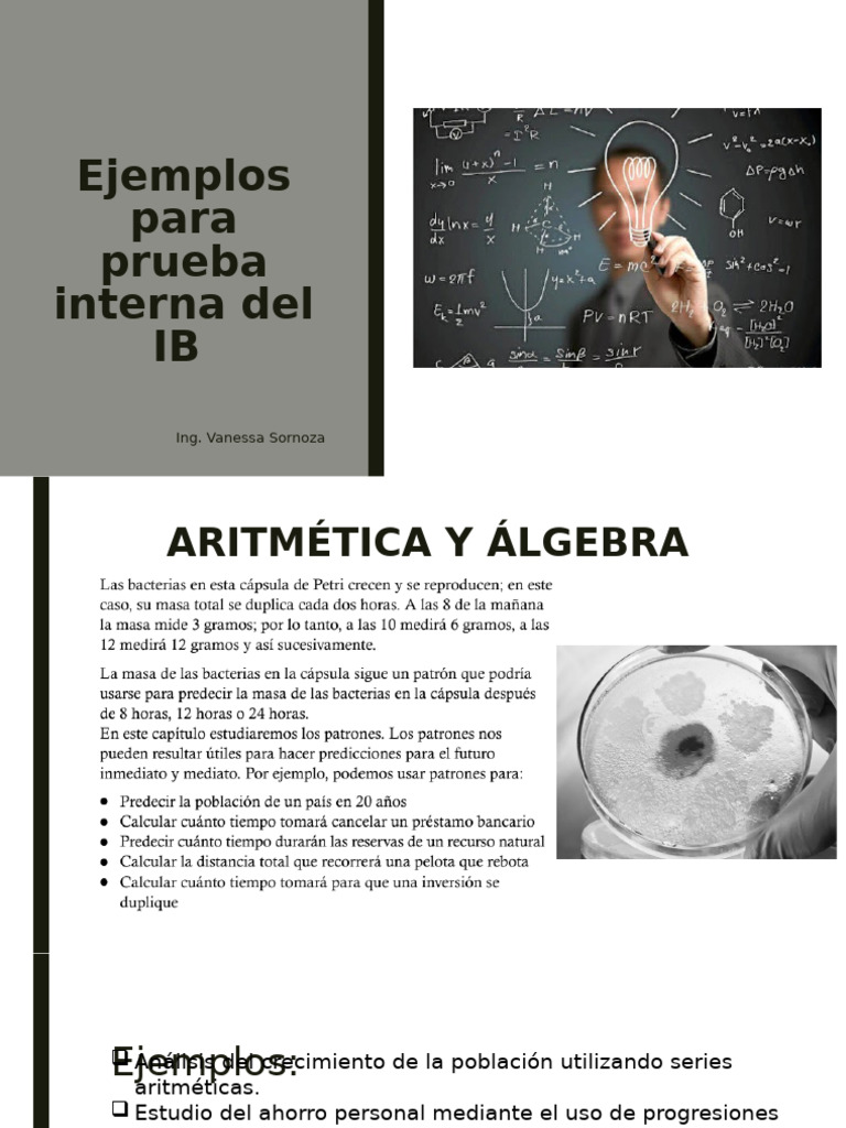 Temarios Ejemplos | PDF