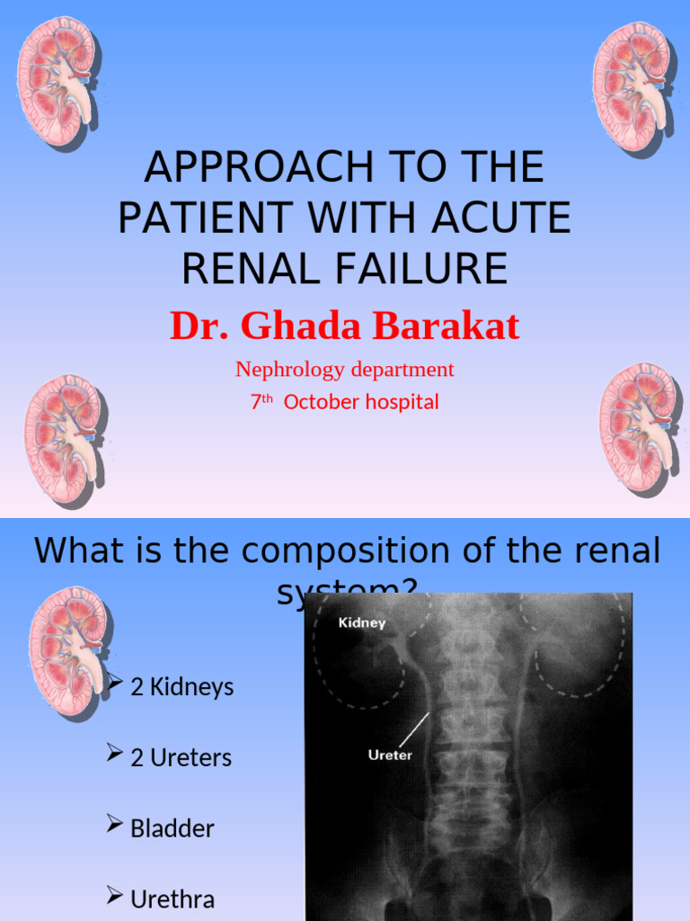 Approach To Acute Renal Failure | PDF
