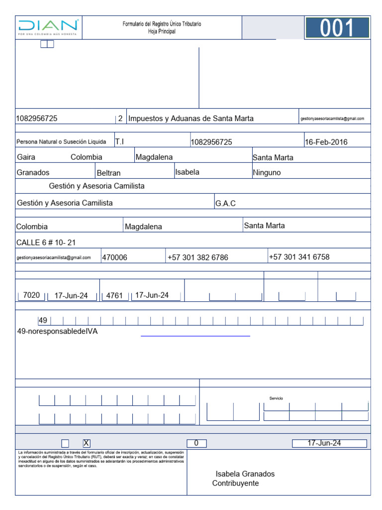 Rut Editable para Envio A La Dian. | PDF