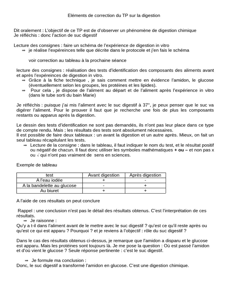 Eléments de Correction Du TP Sur La Digestion | PDF