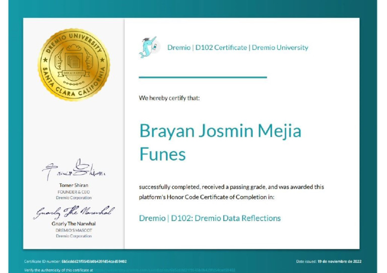 Dremio Data Reflection | PDF