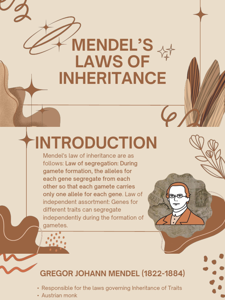 Mendels Law of Inheritance | PDF