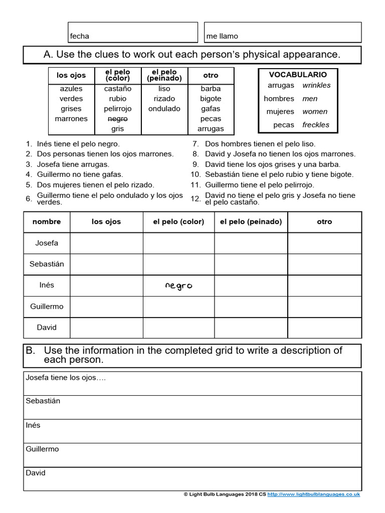 Cabello y Ojos Puzzle Hair and Eyes | PDF