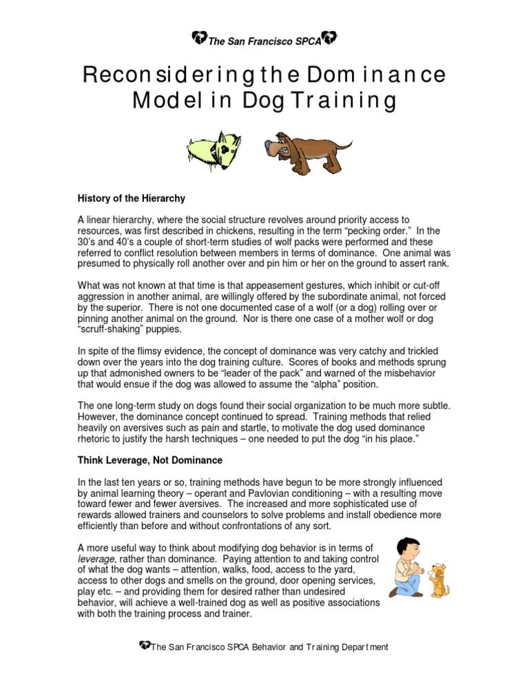 Rethinking Dog Training: Beyond Dominance | PDF