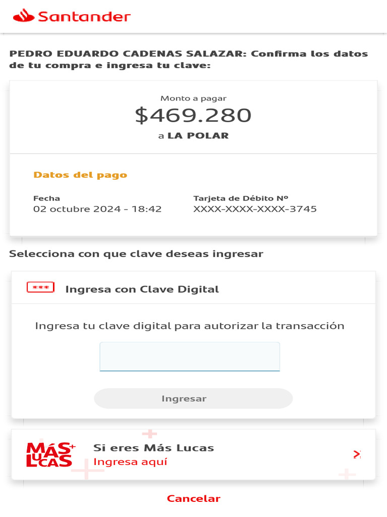 Web Pay | PDF